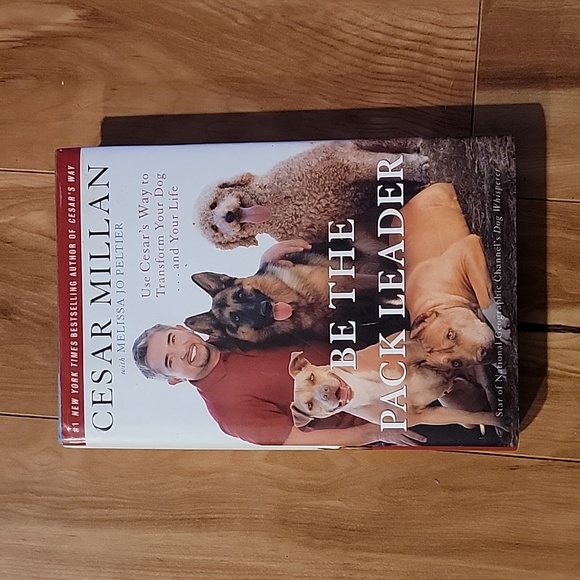 Other | Caesar Milan Be The Pack Leader Book | Poshmark